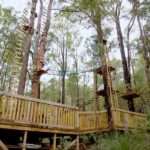Dwellingup: Tree Ropes Course - The Experience in Detail