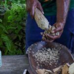 Eden's Kava Experience - Practical Considerations