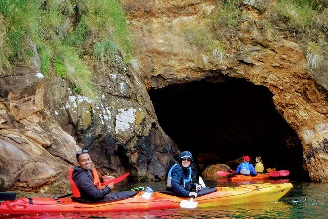 Electric Mountain Bike & Sea Kayak Tour in Akaroa - Why This Tour Offers Great Value