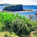 Erupting Blowholes and Ancient Rainforests SOUTH COAST OF SYDNEY PRIVATE TOUR - Who Should Consider This Tour?