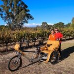 eTukTuk Adventure from Oxenberry Farm in McLaren Vale - Final Thoughts