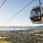 Exclusive Day Trip from Te Puia to Wine Tasting and Redwoods - Exploring Rotorua: A Natural and Cultural Marvel