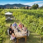Exclusive Picton Wine & Scenic Adventure: VIP Cruise Experience - What’s Included and What to Budget For