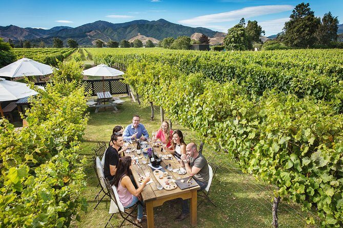 Exclusive Picton Wine & Scenic Adventure: VIP Cruise Experience - What’s Included and What to Budget For