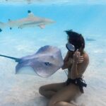Exclusive sunset excursion in the lagoon Shark rays - Who This Tour Is Perfect For