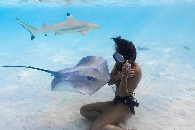 Exclusive sunset excursion in the lagoon Shark rays - Who This Tour Is Perfect For