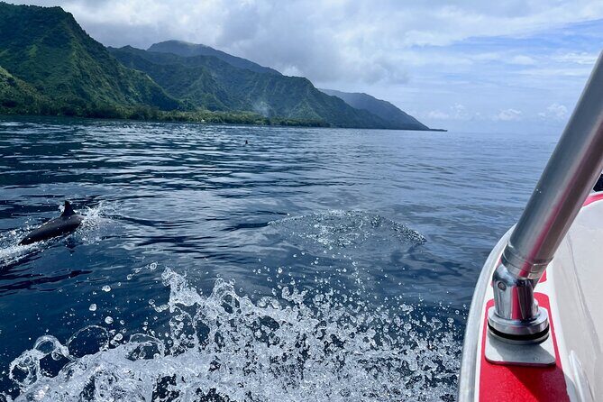 Excursion to discover the authentic Tahiti Peninsula 4:00 - Why Travelers Love This Tour