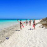 Exmouth: Guided Ningaloo Reef Snorkel Adventure - Practical Aspects and Value