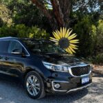 Experience SA Private Barossa Wine Tour- Pickup is in the Barossa - Additional Info and Practical Tips