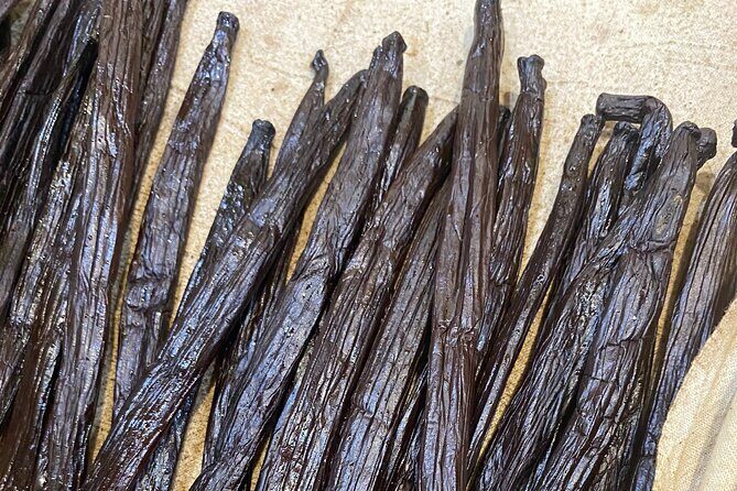 Exploration, Taha'a Lagoon Tour by Private Boat - What Travelers Say