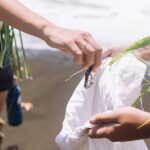 Explore old-fashioned Polynesian life and prepare a local meal - A Closer Look at the Experience