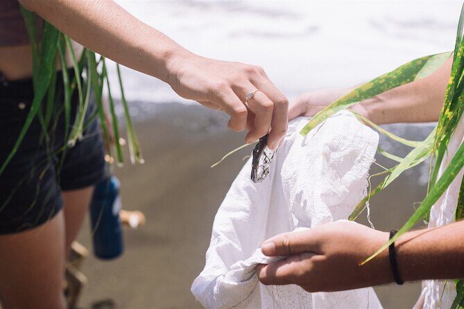 Explore old-fashioned Polynesian life and prepare a local meal - A Closer Look at the Experience