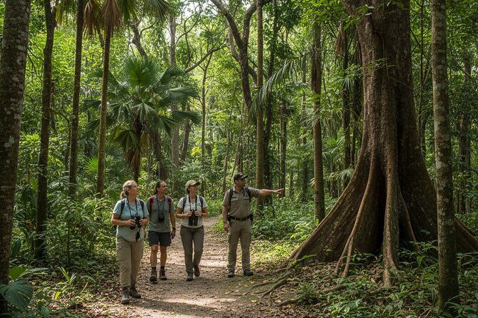 Explore the Wonders of New Caledonia from Noumea Cruise Terminal - Frequently Asked Questions