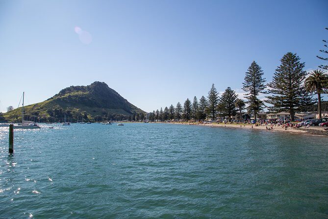 Family Surfing Lesson in Mount Maunganui - The Itinerary Breakdown