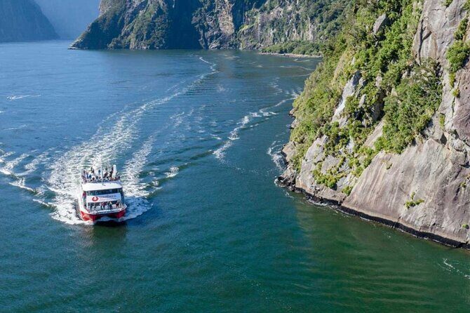 Farm Tour and Milford Sound Nature Cruise from Te Anau - Practical Considerations