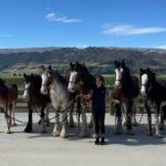 Farm & Wine Experience Fun Experience from Queenstown New Zealand - Bannockburn and Kawarau Gorge: Scenic and Tasty