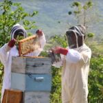 Fiji: Farm Tour: Animals, Honey Tasting & Fijian Cooking - An In-depth Look at the Fiji Farm Tour