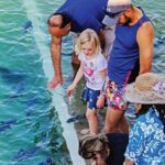 Fish Feeding Activity in Darwin - Detailed Breakdown of the Itinerary