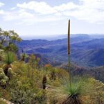 Flinders Ranges 5-Day Small Group 4WD Eco Tour from Adelaide - Practical Details and Value
