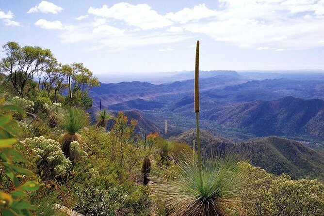 Flinders Ranges 5-Day Small Group 4WD Eco Tour from Adelaide - Practical Details and Value