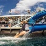 Fly in and Fly out Great Barrier Reef Cairns Day Tour - What Makes This Tour Stand Out