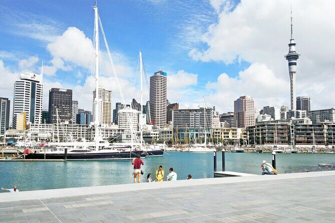 Four Hour Private Auckland Sightseeing Tour - Practical Details & What to Expect