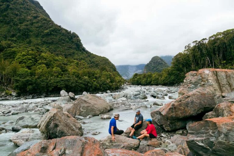 Fox Glacier: Half Day Walking & Nature Tour with Local Guide - What You’ll See and Learn