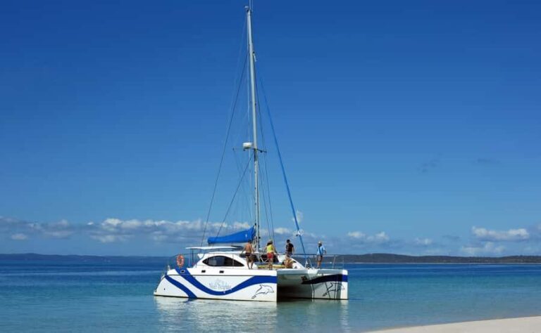 Fraser Island 4-Hour Eco-Sailing Adventure - Water Activities and Wildlife Encounters