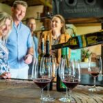 From Adelaide: Boutique McLaren Vale Wine Tour with Lunch - The Itinerary Breakdown