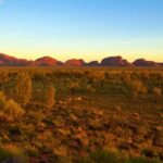 From Alice Springs: 4-Day, 3-Night Outback Escape - Experience and Guide Quality