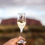 From Alice Springs: Day Trip to Uluru with BBQ Dinner - The Practical Side: What to Know Before Booking