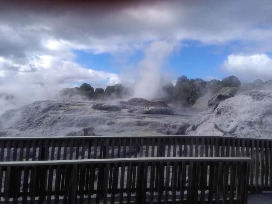 From Auckland: Day Trip to Rotorua with Optional extras - The Itinerary Breakdown
