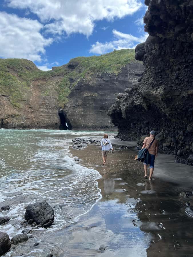 From Auckland: Guided Tour of Piha with Scenic Beach Walks - The Value of the Experience