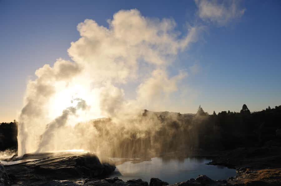 From Auckland: Rotorua Te Puia, Haka & Polynesian Spa Tour - A Closer Look at the Itinerary