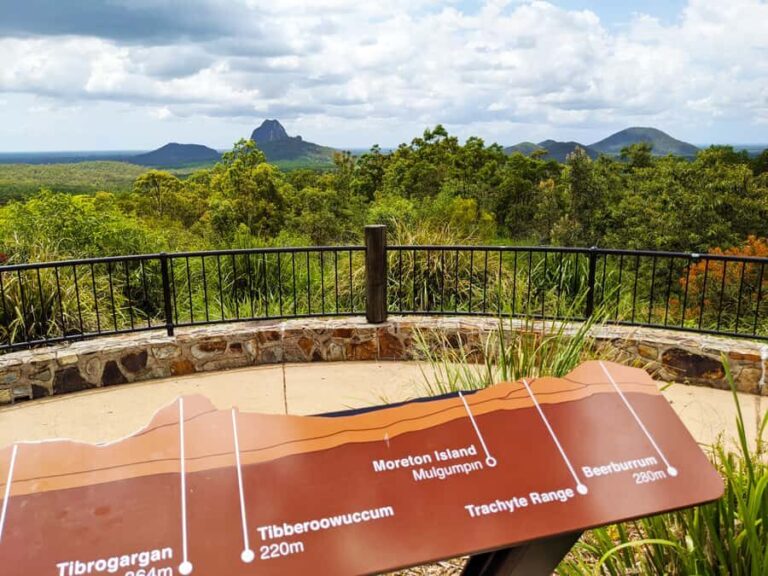 From Brisbane: Day Trip to Noosa, Glass House Mtns and Zoo - Practical Details and What to Expect