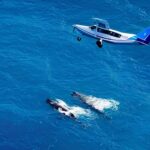 From Christchurch: Private Kaikoura Tour with Guide - A Scenic Journey from Christchurch to Kaikoura