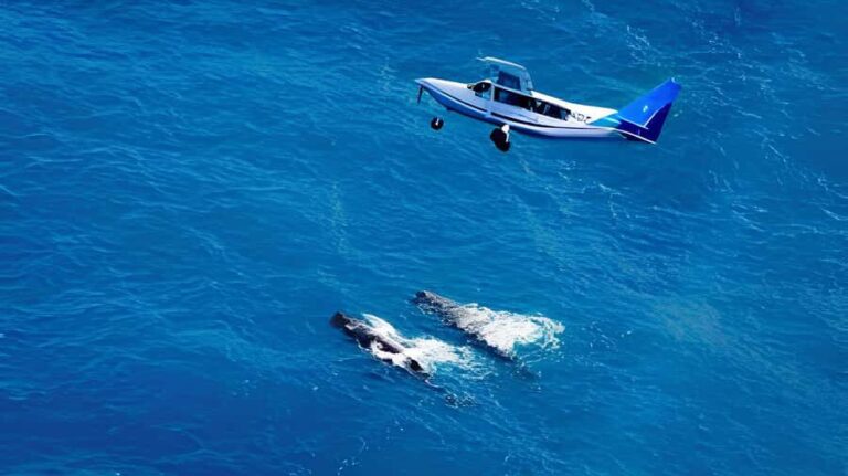 From Christchurch: Private Kaikoura Tour with Guide - A Scenic Journey from Christchurch to Kaikoura