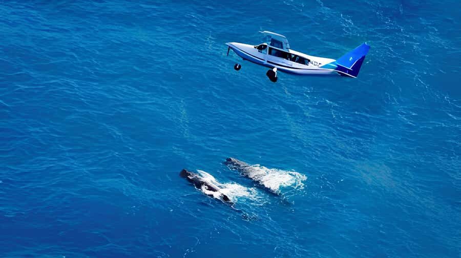 From Christchurch: Private Kaikoura Tour with Guide - A Scenic Journey from Christchurch to Kaikoura