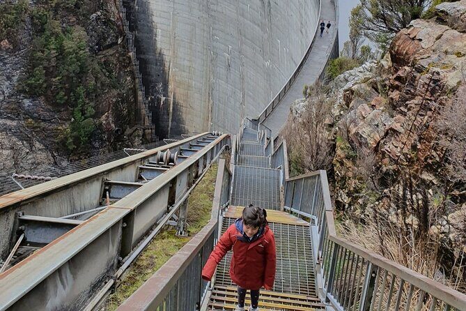 From Hobart: Gordon Dam and Lake Pedder Wilderness Day Tour - Authentic Insights from Reviews