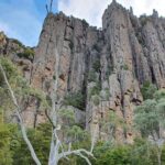 From Hobart: Mt Wellington Morning Walking Tour - The Itinerary in Detail: What to Expect