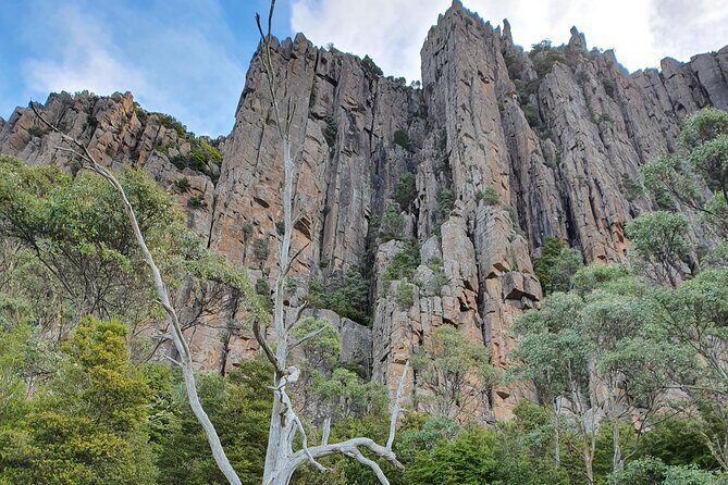 From Hobart: Mt Wellington Morning Walking Tour - The Itinerary in Detail: What to Expect