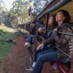 From Melbourne: Puffing Billy Train & Penguin Wildlife Tour - How the Itinerary Follows
