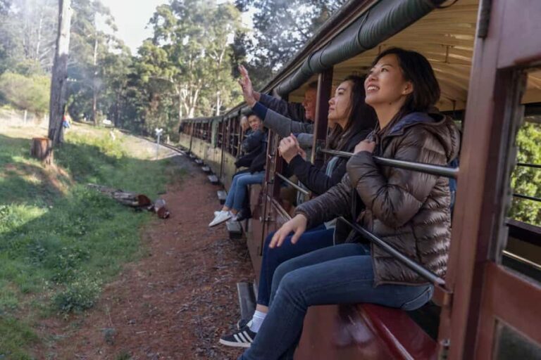From Melbourne: Puffing Billy Train & Penguin Wildlife Tour - How the Itinerary Follows