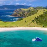 From Paihia: Full-Day Bay of Islands Cruise - The Practicalities: What You Need to Know
