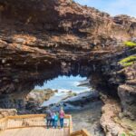 From Penneshaw: Kangaroo Island Sights and Wildlife Tour - Visiting the Emu Ridge Eucalyptus Distillery