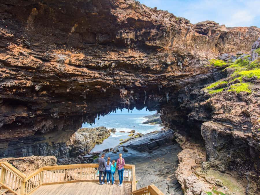 From Penneshaw: Kangaroo Island Sights and Wildlife Tour - Visiting the Emu Ridge Eucalyptus Distillery