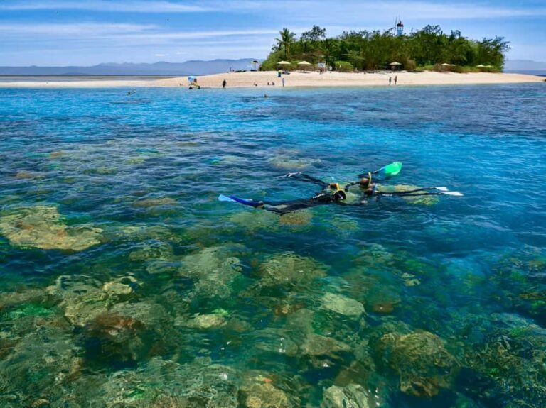 From Port Douglas: Sail to Low Isles Great Barrier Reef - Practical Details