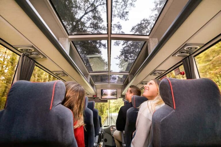 From Queenstown: Milford Sound Day Trip on Premium Coach - Who Is This Tour Best For?