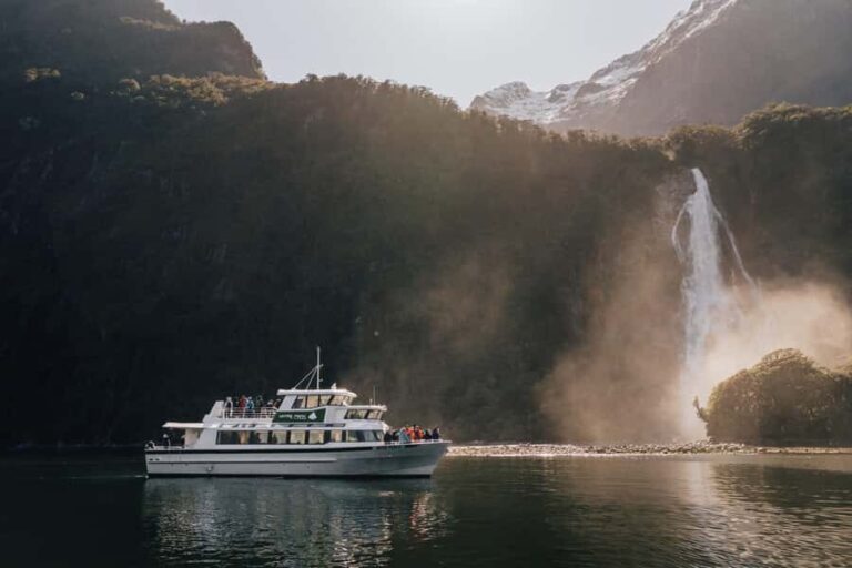 From Queenstown: Milford Sound Full-Day Trip by Plane & Boat - Who This Tour Is Perfect For