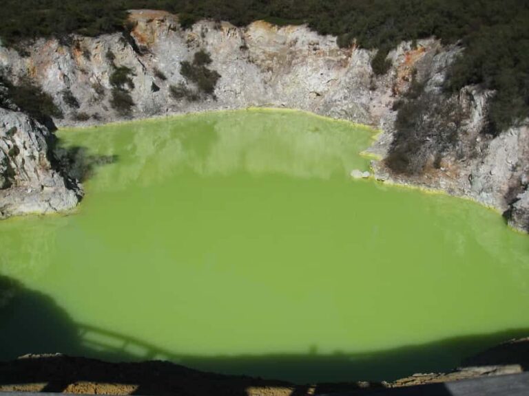 From Rotorua: Wai O Tapu & Waimangu Eco Thermal Morning Tour - Lady Knox Geyser
